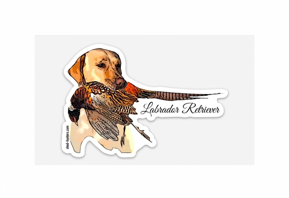 Yellow Lab Bird Dog