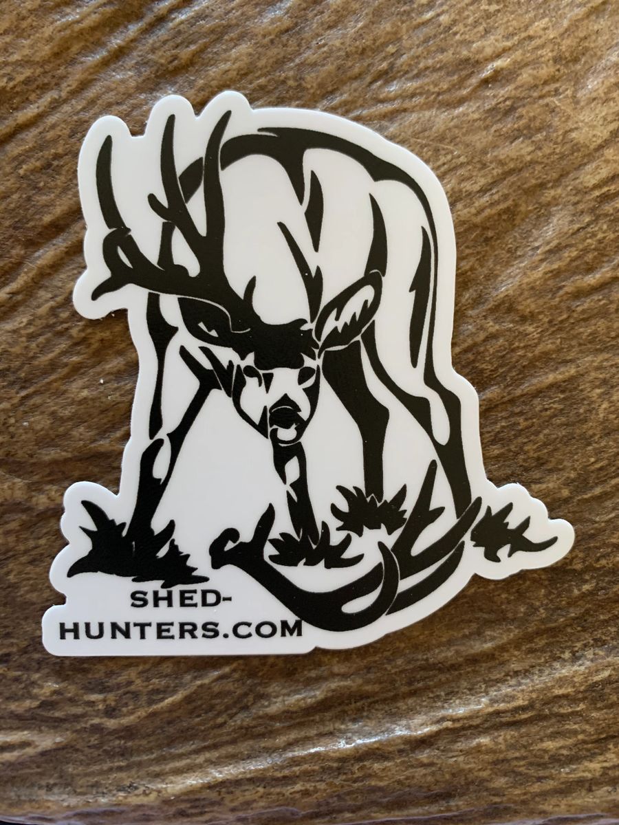 Shed Hunters Mule Deer Decal