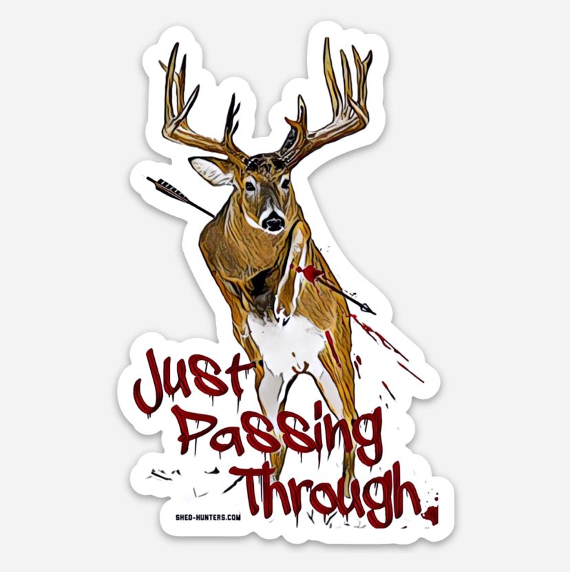 Just passing through Whitetail Decal