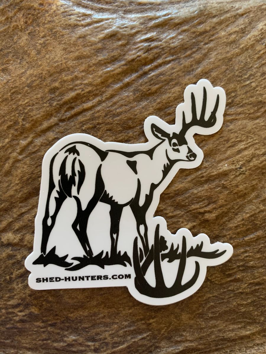 Shed hunters Whitetail decal
