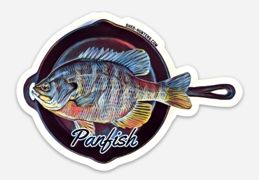 Blue Gill Panfish Sticker!