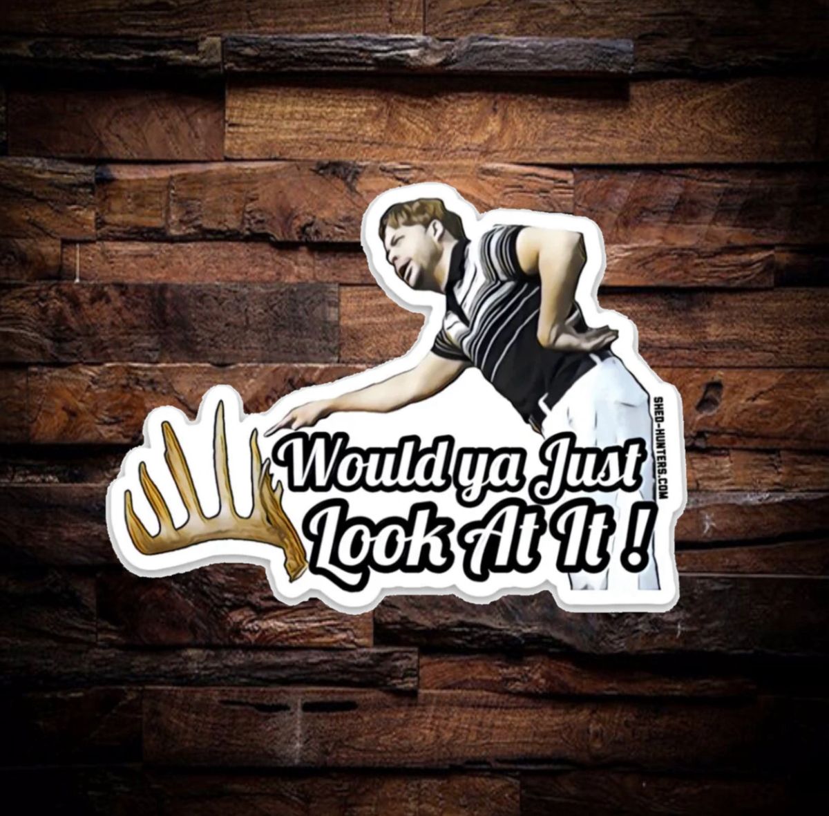 just look at it shed antler sticker
