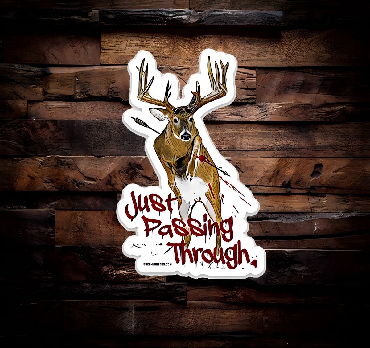 Just passing through Whitetail Decal