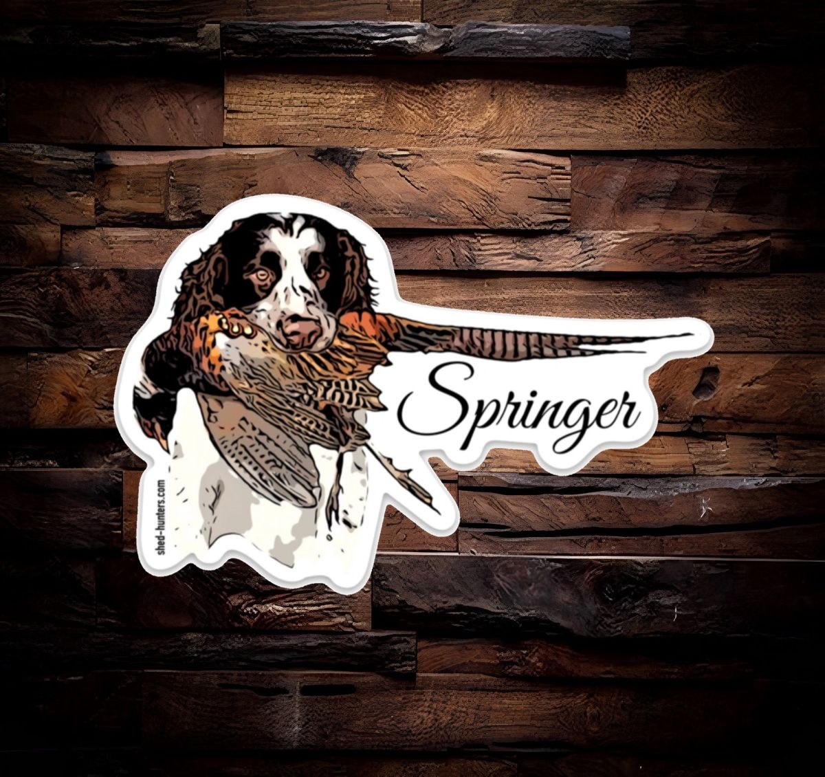 Springer Spaniel Pheasant Bird Dog