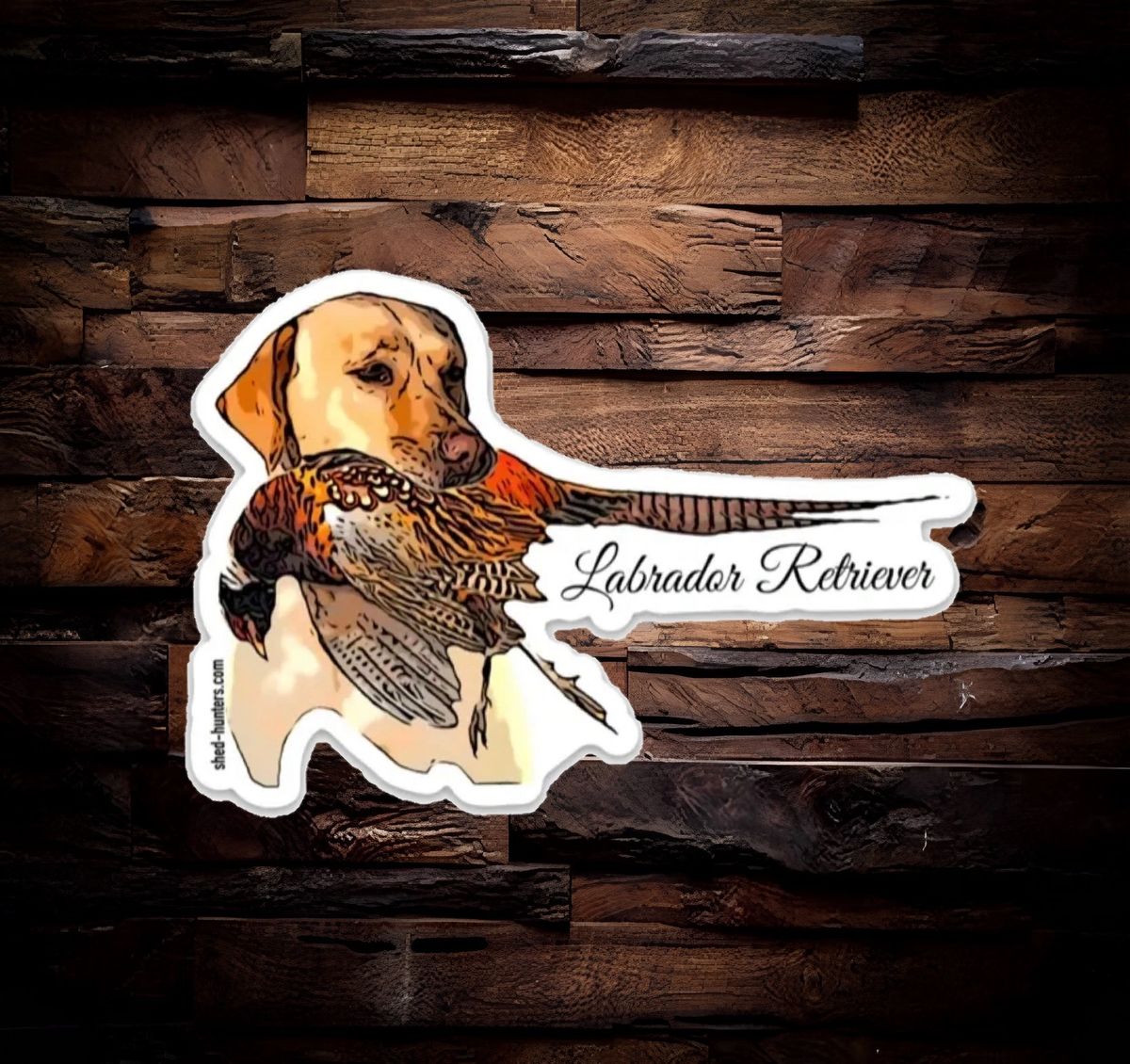Yellow Lab Pheasant Bird Dog