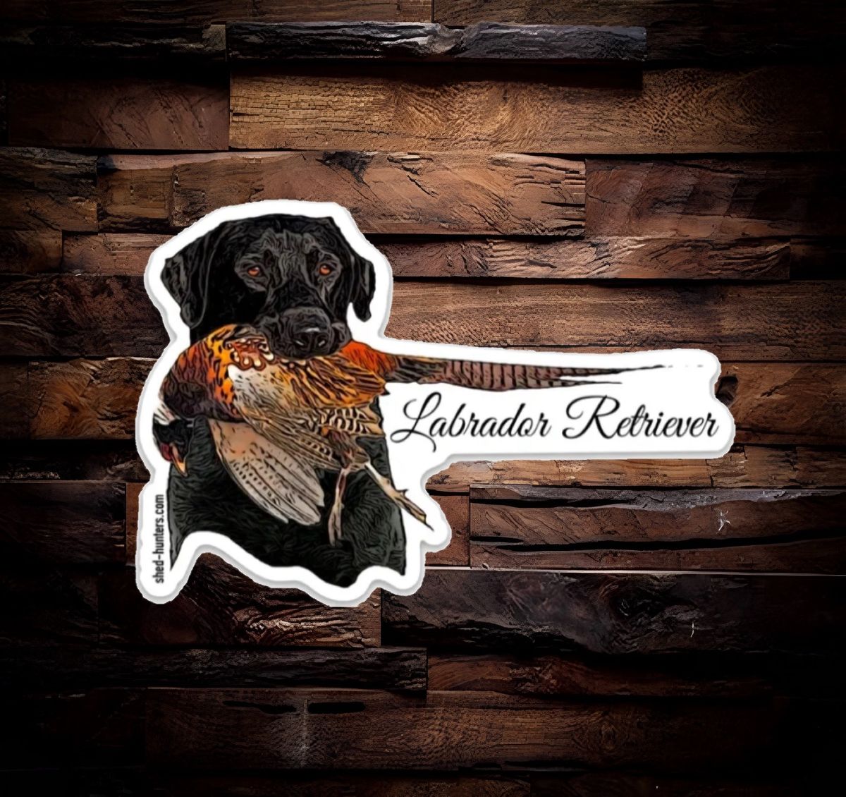 Labrador Retriever Pheasant Bird Dog