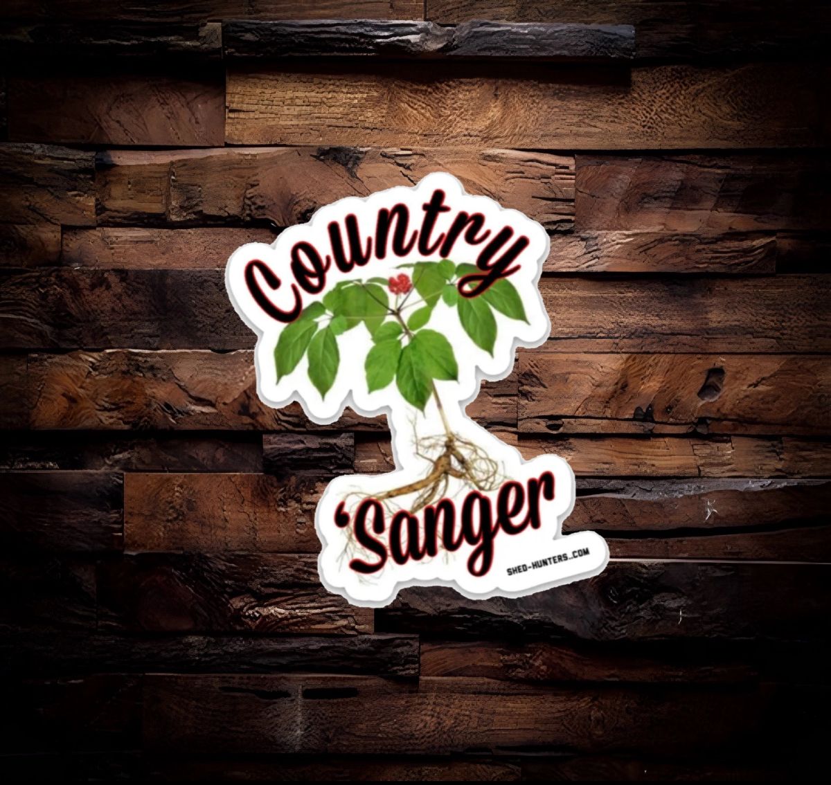 Country ‘Sanger Ginseng sticker