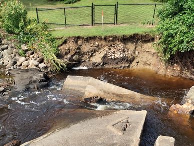 Forest Lake - Forest Lake, Winchester NH