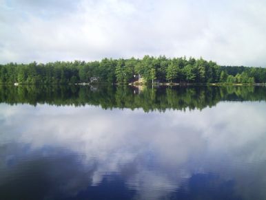 Forest Lake - Forest Lake, Winchester NH