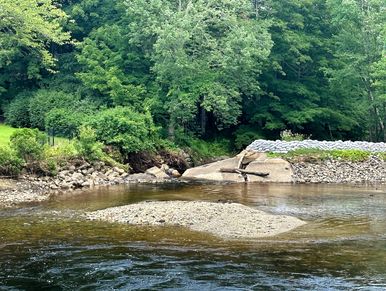 Forest Lake - Forest Lake, Winchester NH