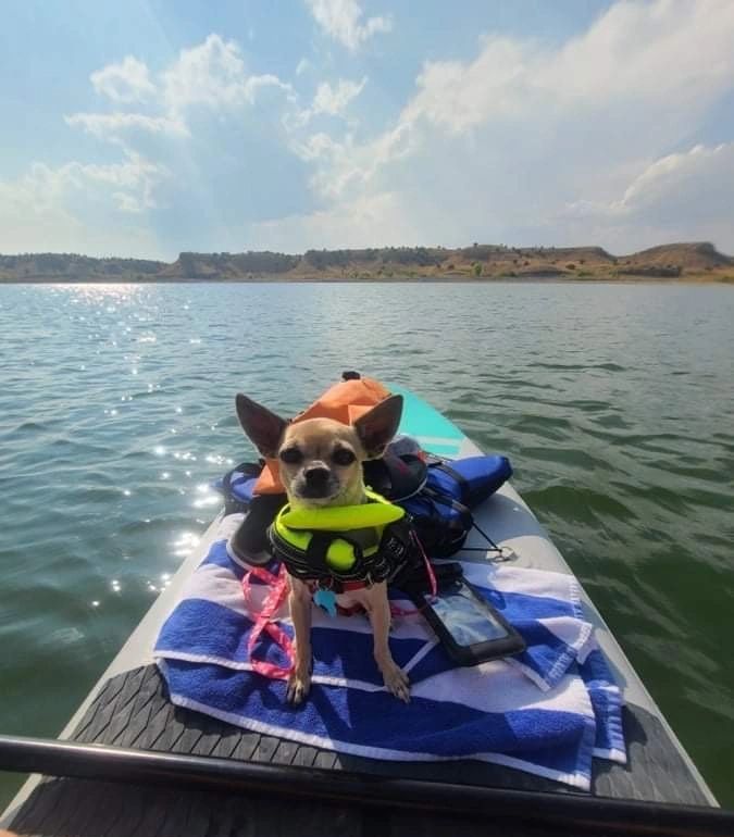 Cooper's Companions - Animal Rescue, Adopt a Pet, Animal Adoption