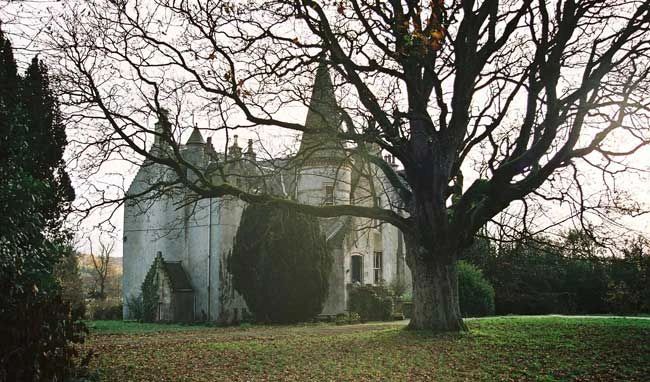 Revitalizing Garrion Tower: Exploring Diverse Landscaping Option