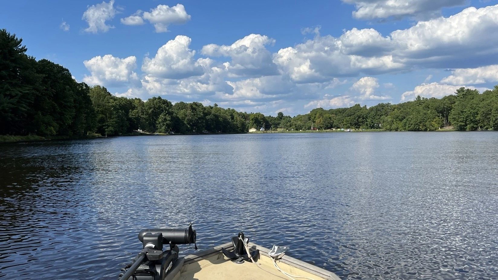 Aqua Link Pond and Lake Management
