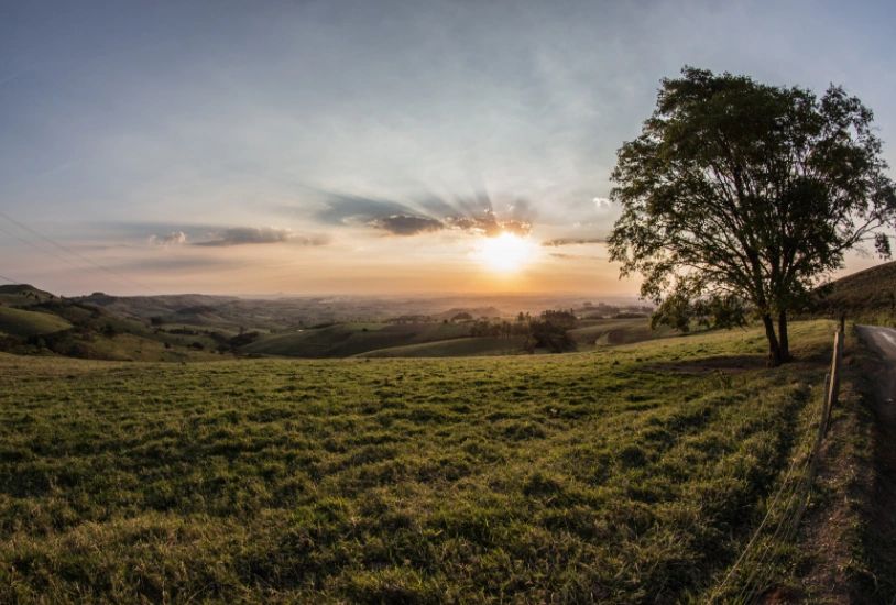 Clare Corrigan Personal Insolvency - Bankruptcy, Financial Wellbeing