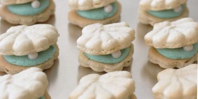 Photo Gallery | Sugar Mama Cookies