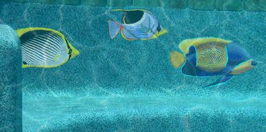 Meridian Tile - Pool Tile, Custom Swimming Pool Tile