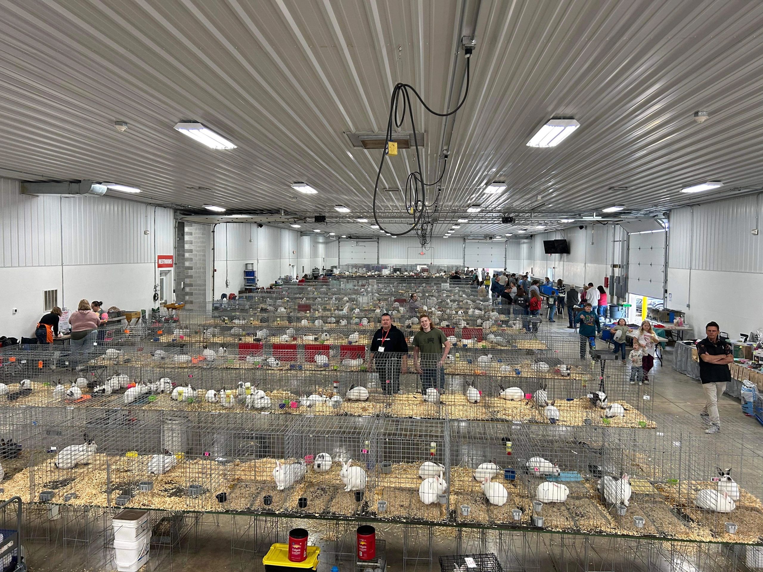 ARBA convention 2024 | National Californian Rabbit Specialty Club