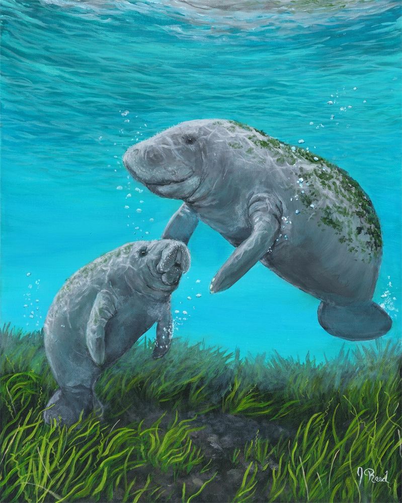 J Reed Studios - Sea Life Art, Facial Tissue Sculptures