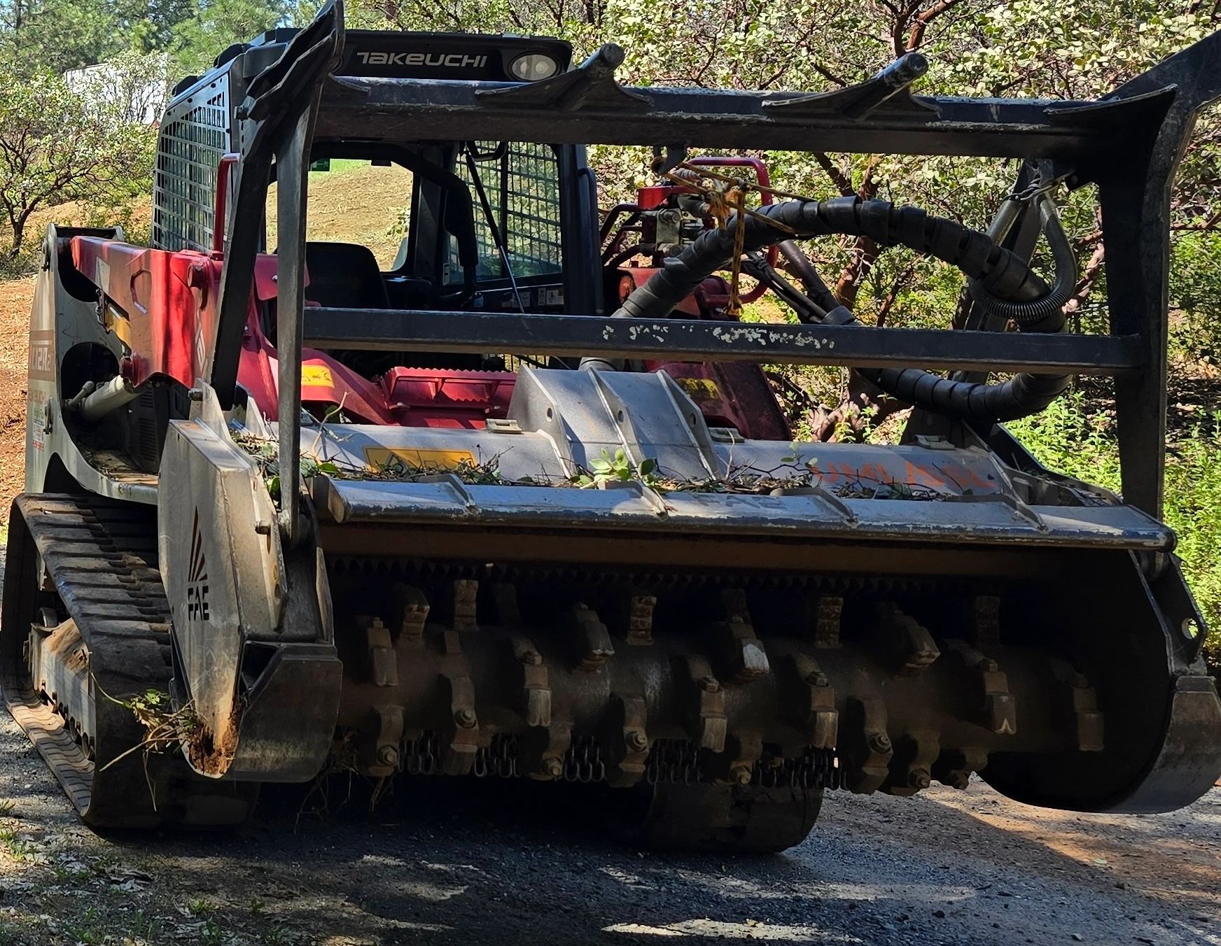 Professional Tree Service and Vegetation Management