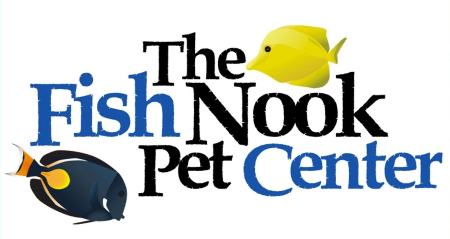 Discover Live Tropical Fish at The Fish Nook Pet Center