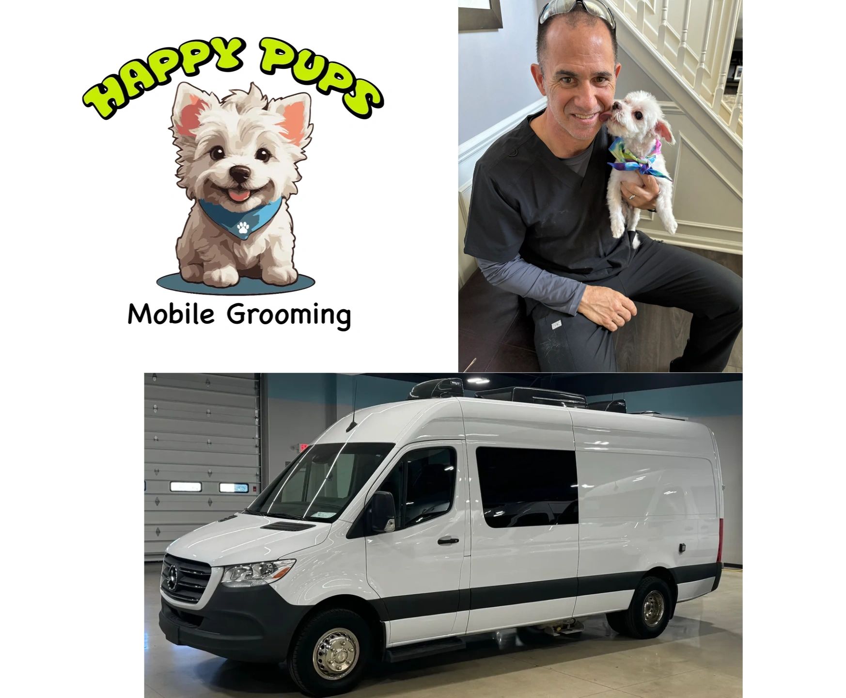 Expert Pet Grooming Services