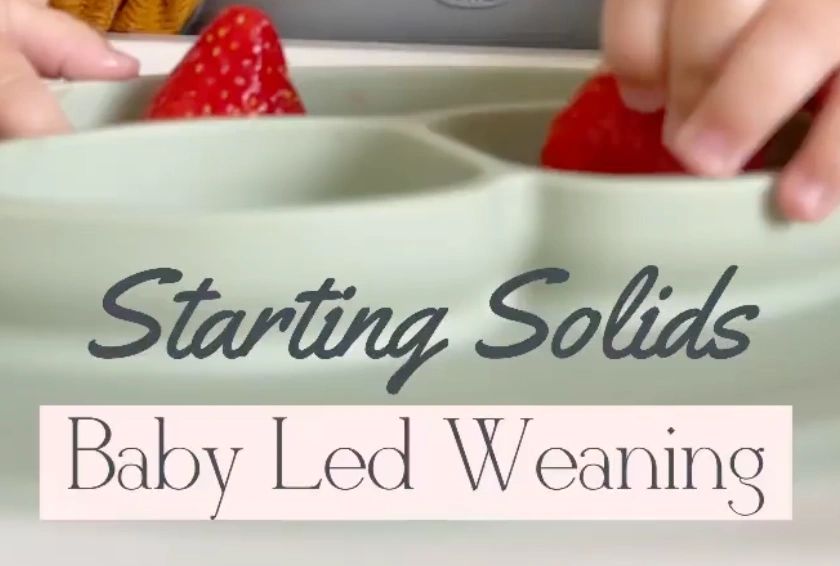 How to Start Solids Baby Led Weaning Starting Solids at 6 Months