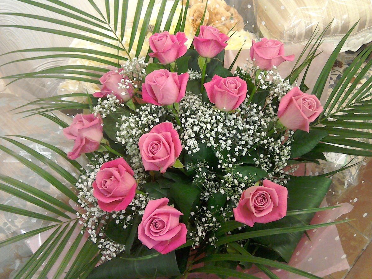 1 Dozen Pink Long Stem Roses