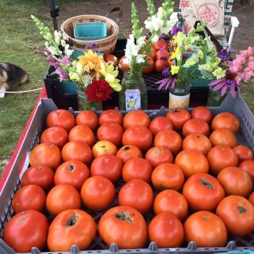 Meet your Local Vendors