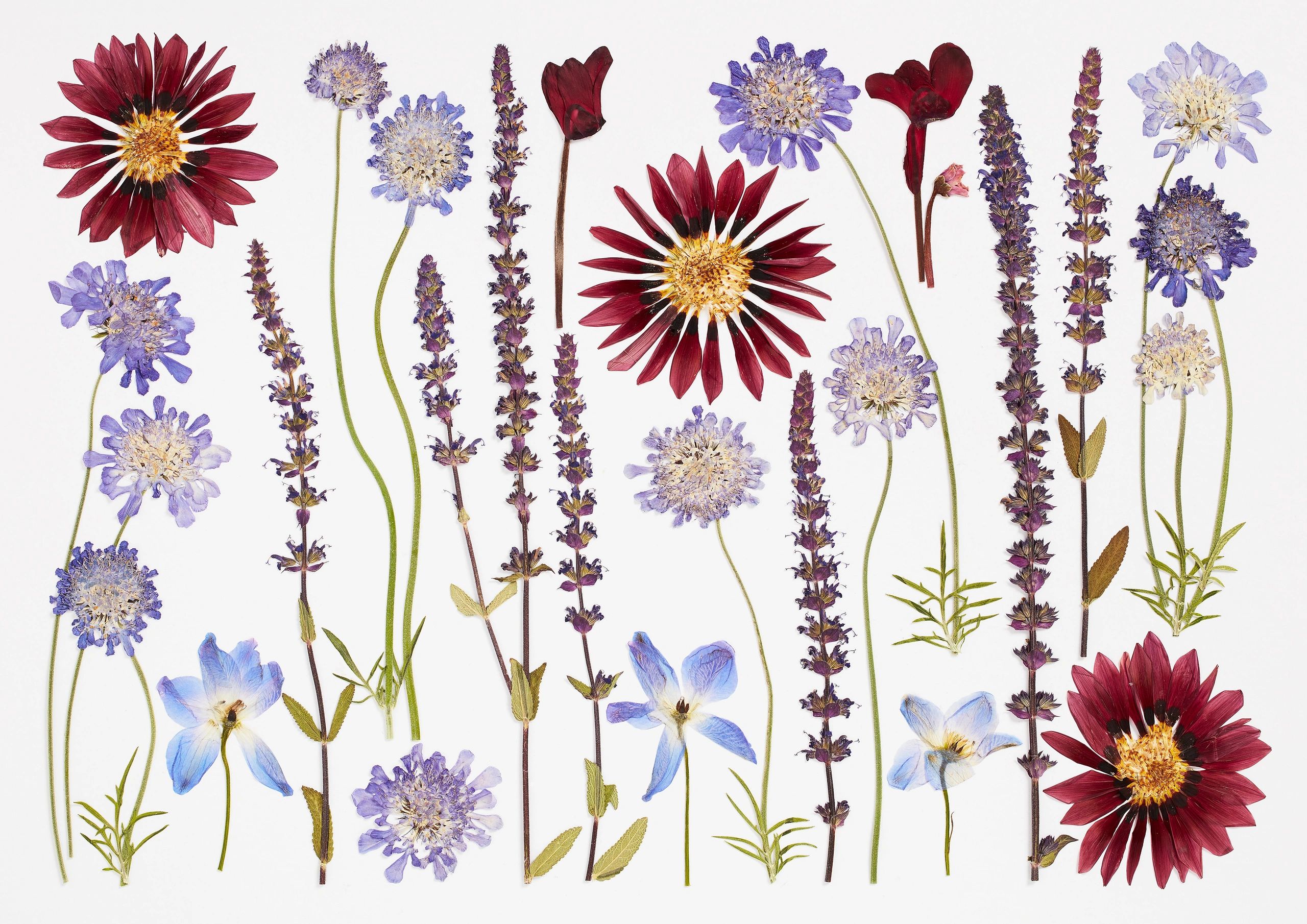 Pressed Floral Art - Hand Pressed Floral Art, Floral Design, Real ...