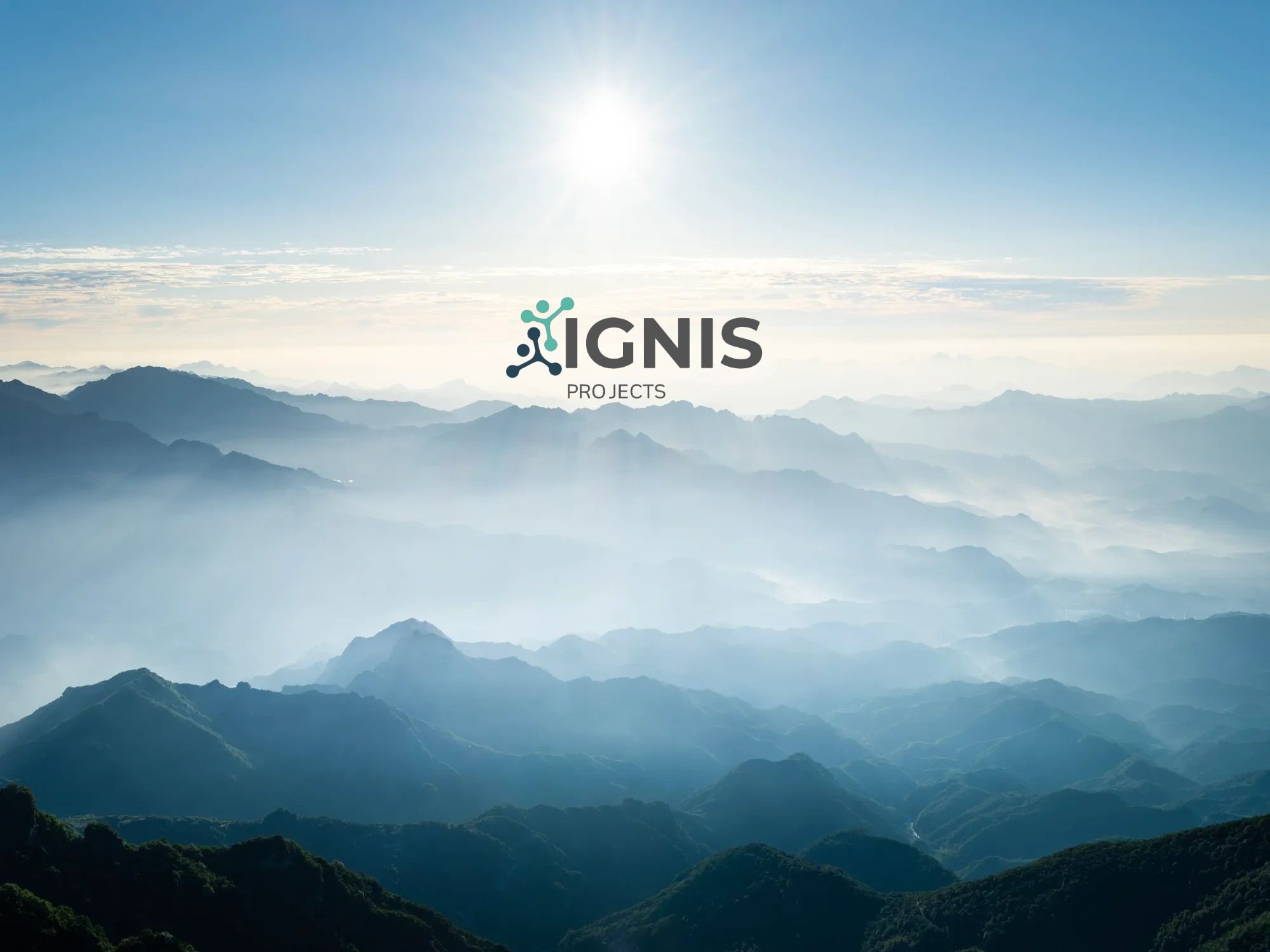 ignis-projects.com