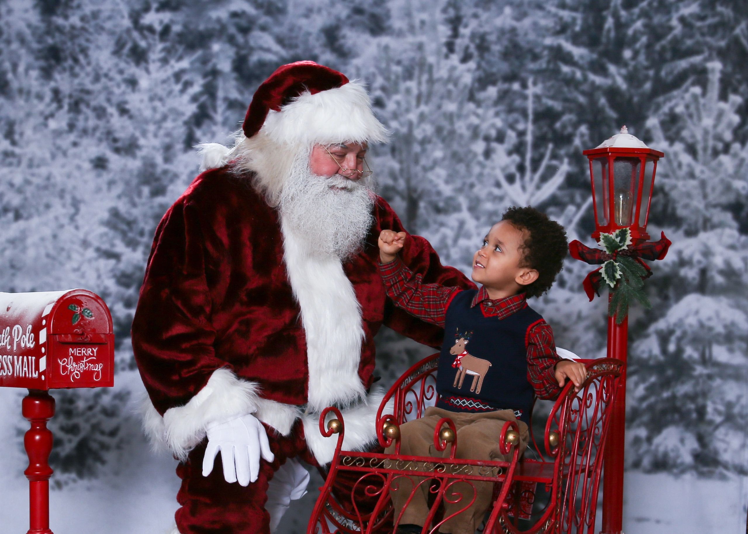 View Your Photos | David Wilson Studio