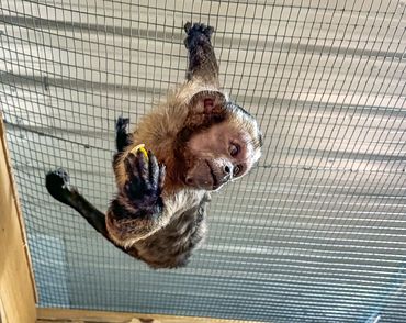 Dutch Country Safari Park