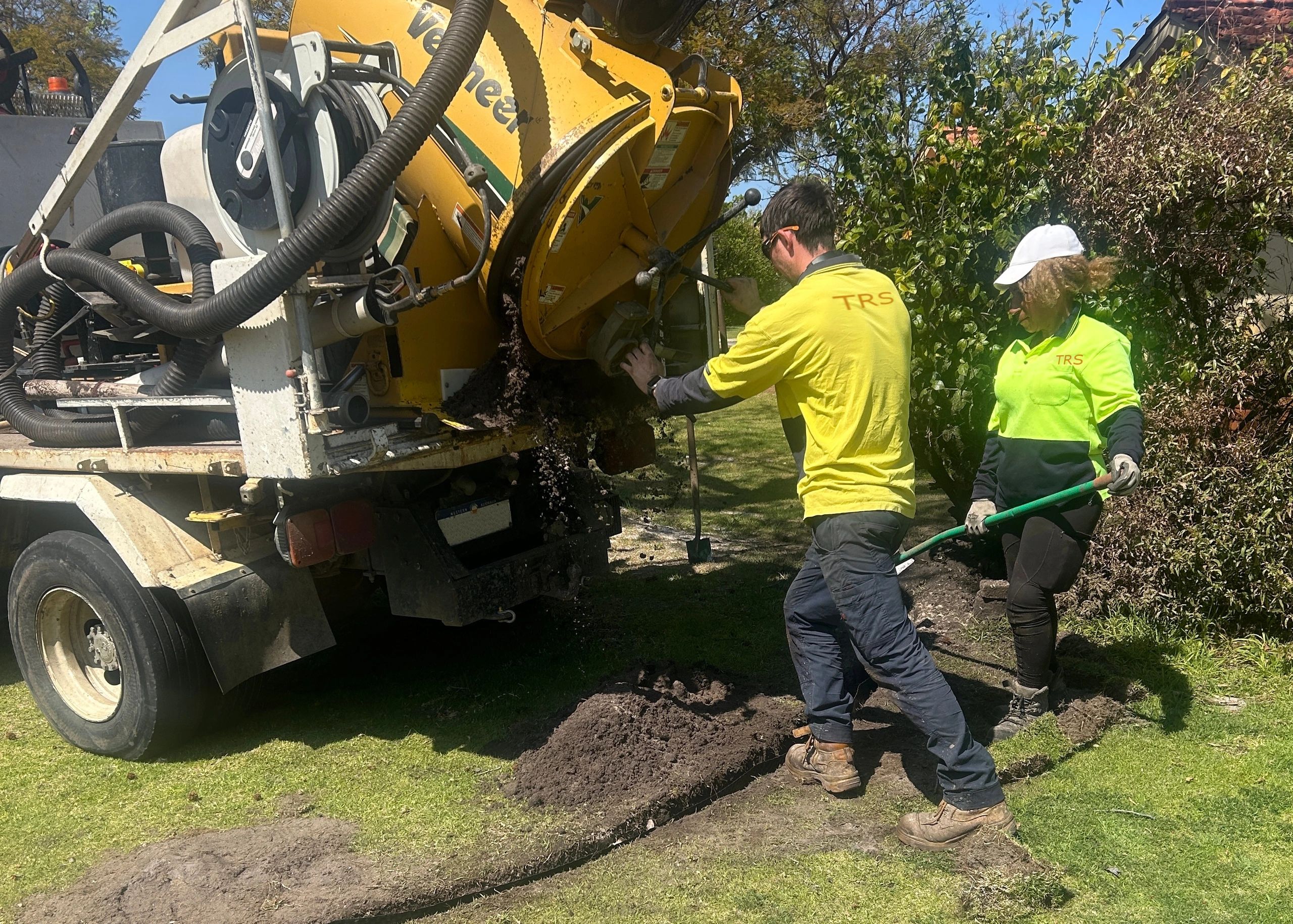 Tree Root Management Services - Expert Solutions