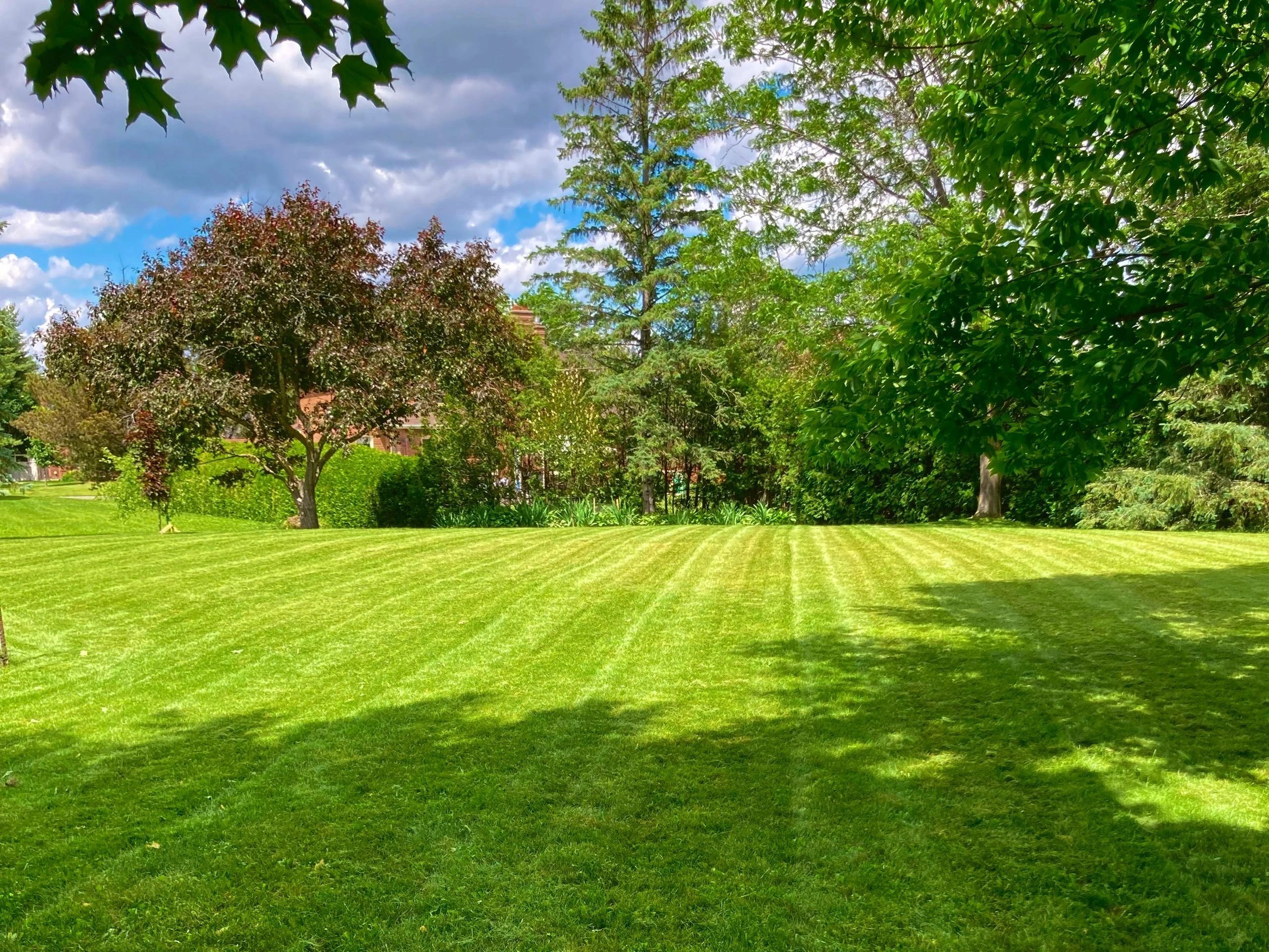 Bennett Lawn & Landscape