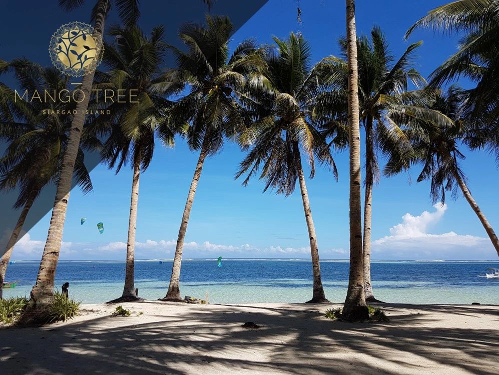Mango Tree Siargao - Luxurious Private Villas, Siargao Island, Resort
