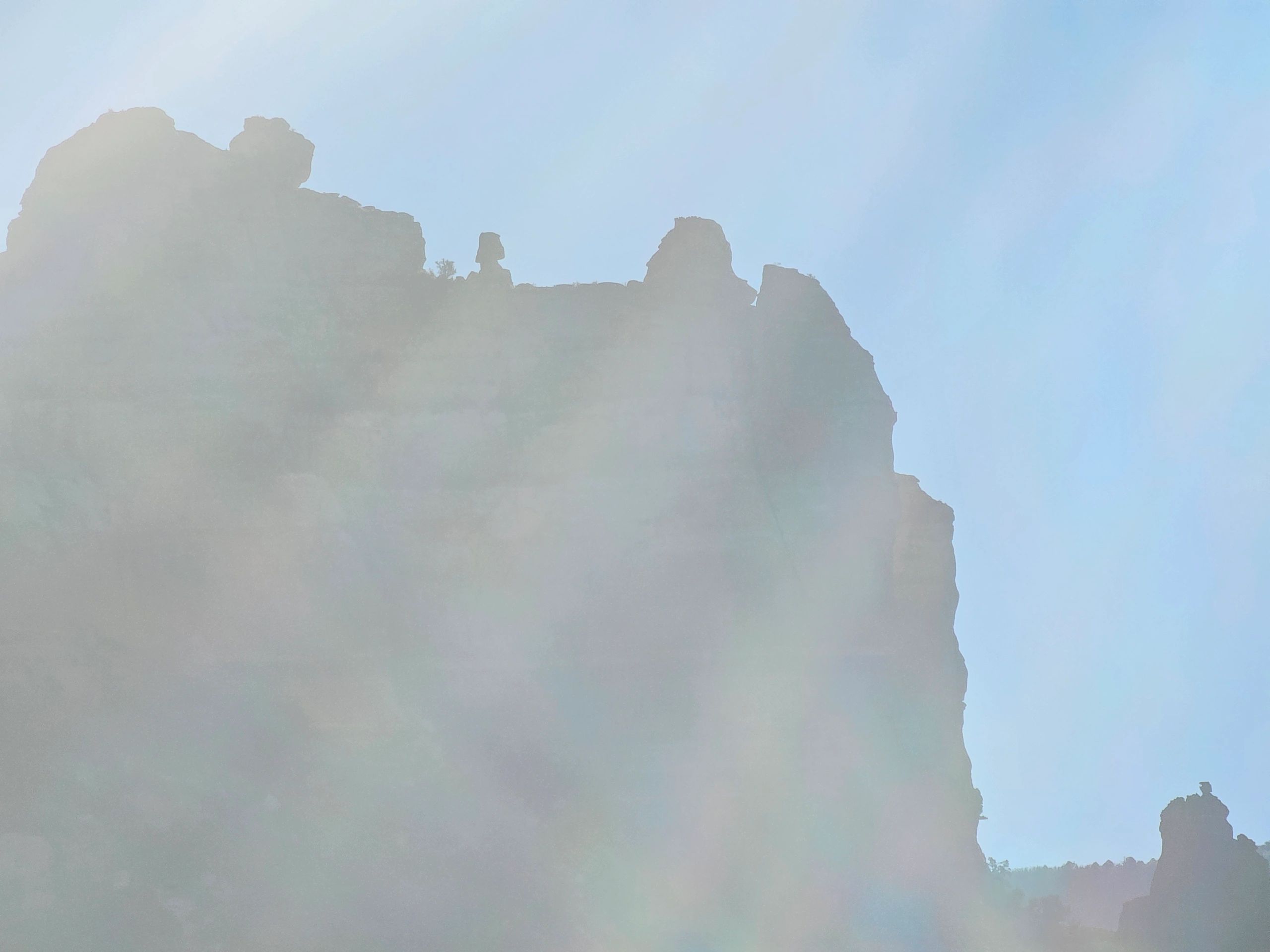 Choosing to Be Fallow