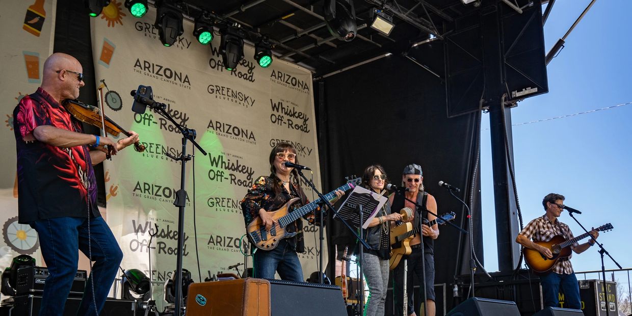 String Pilots - Live Music, Acoustic Rock String Band