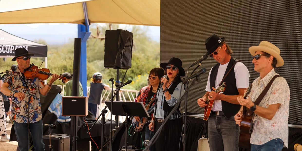 String Pilots - Live Music, Acoustic Rock String Band