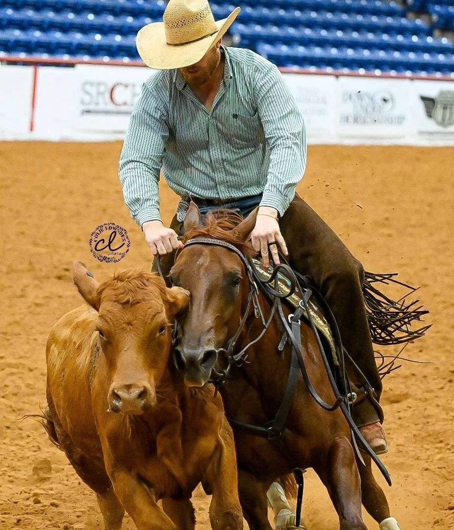 Peters Performance Horses