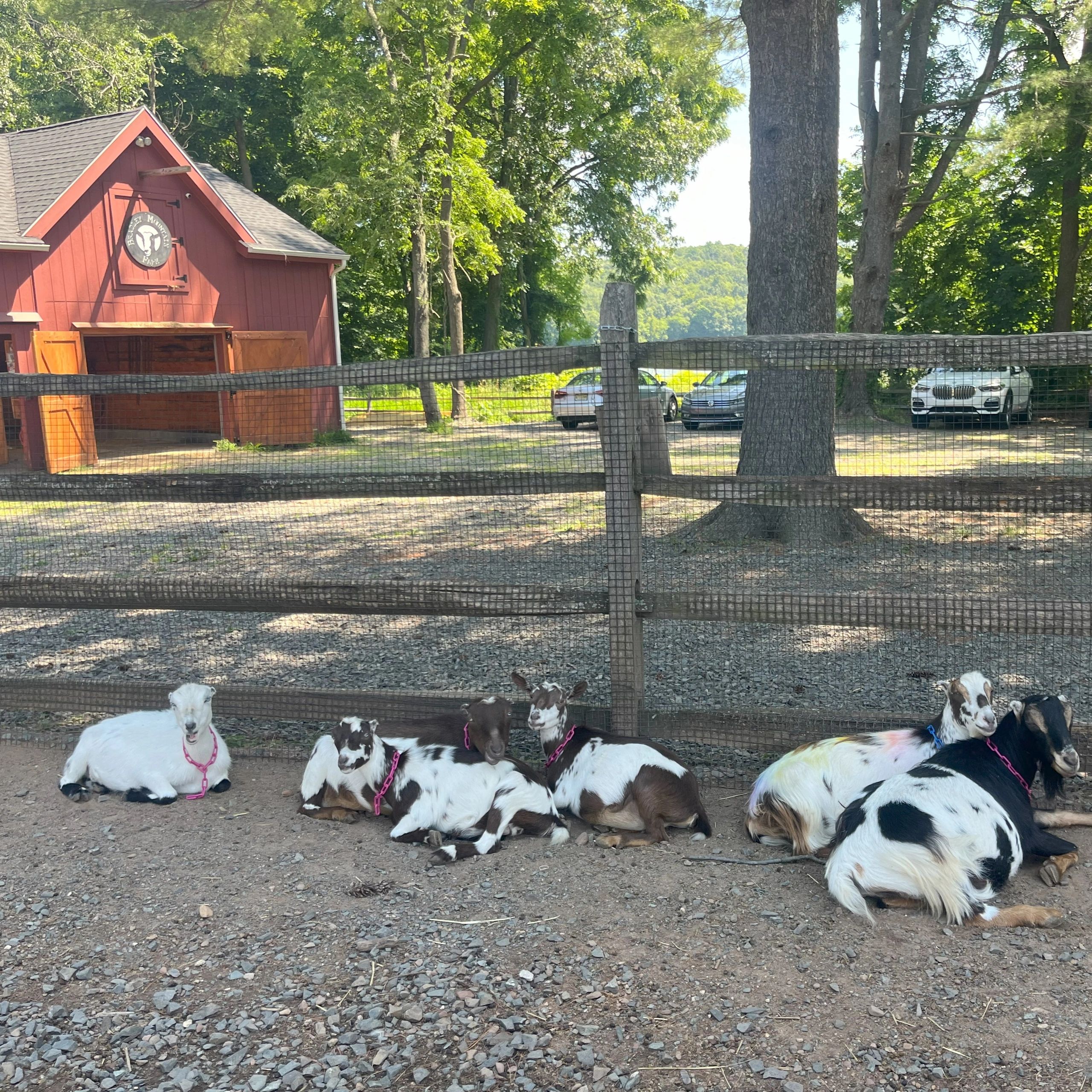 Choosing a Business Structure for Your Farm