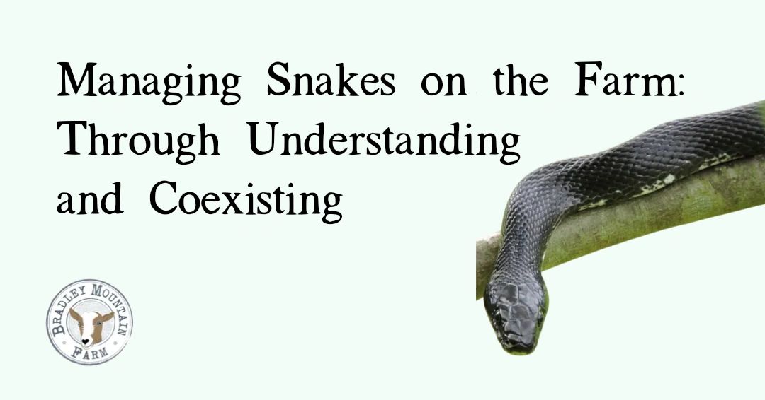 Managing Snakes on the Farm: Through Understanding and Coexisting