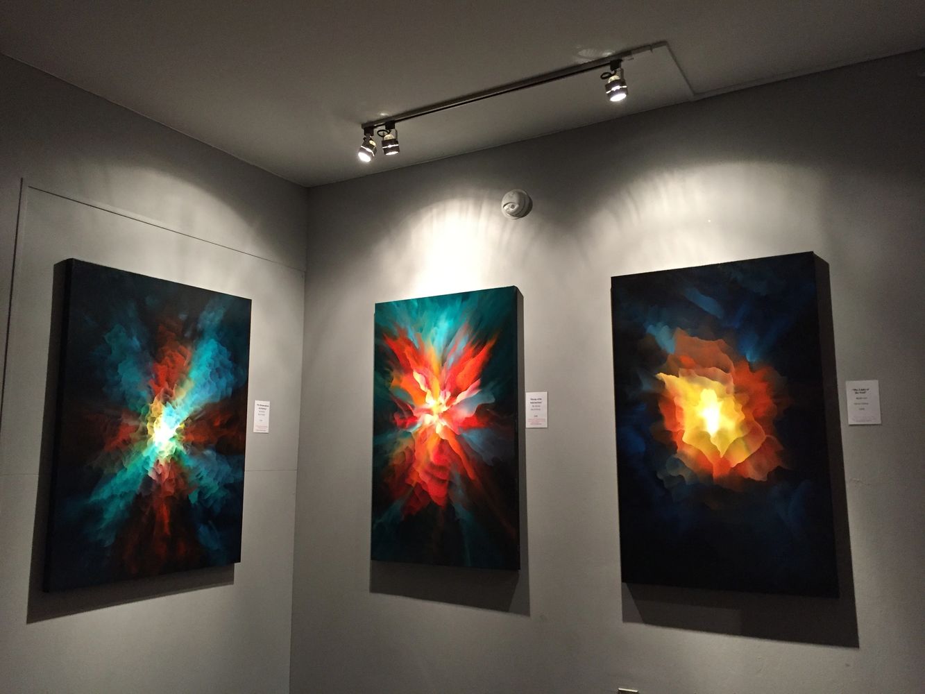 Tara Baden Fine Art - Art for Sale, Oil Paintings for Sale