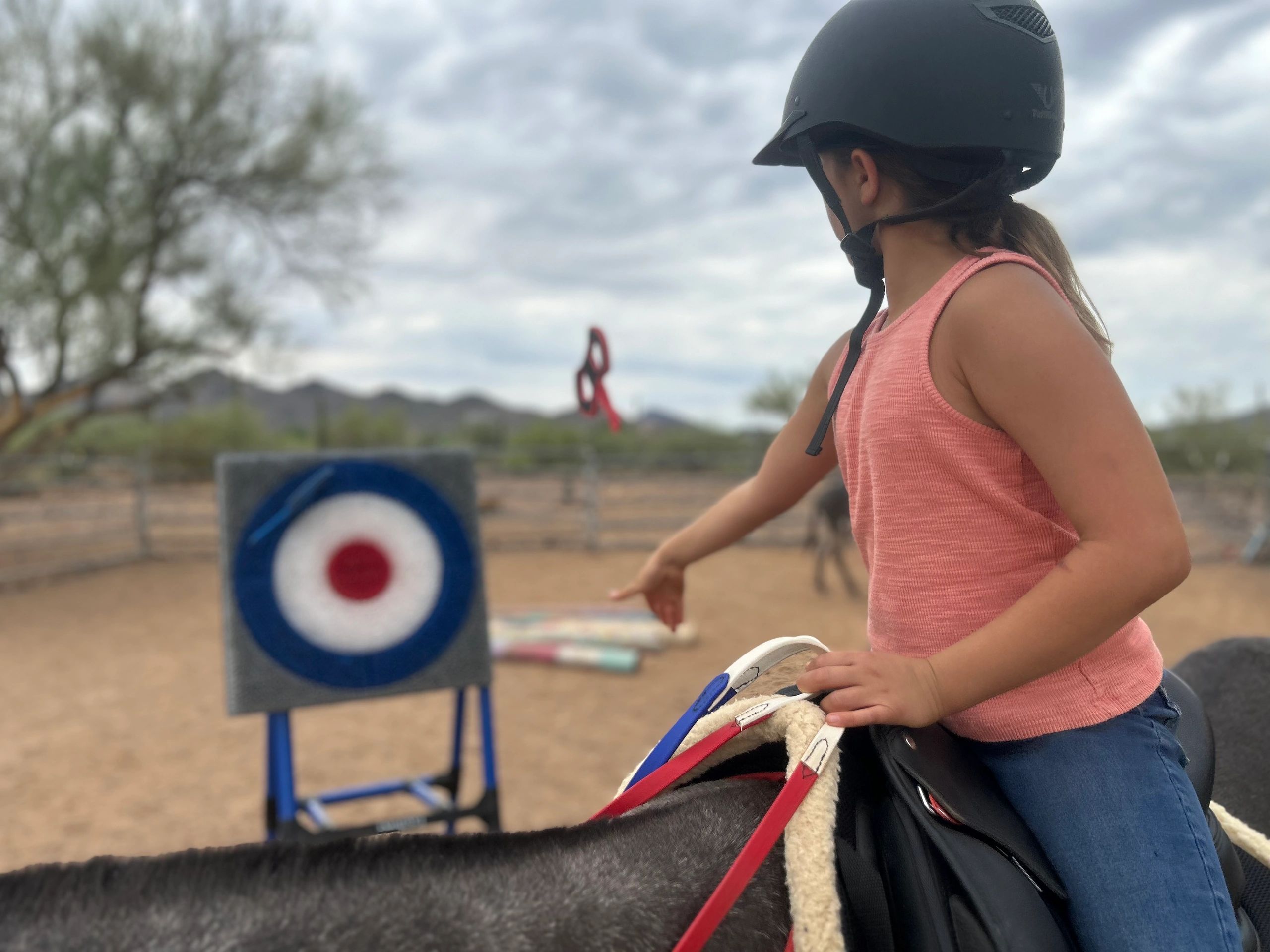 Therapeutic/Adaptive Riding Standard Size Donkey at The Donkeys of the ...