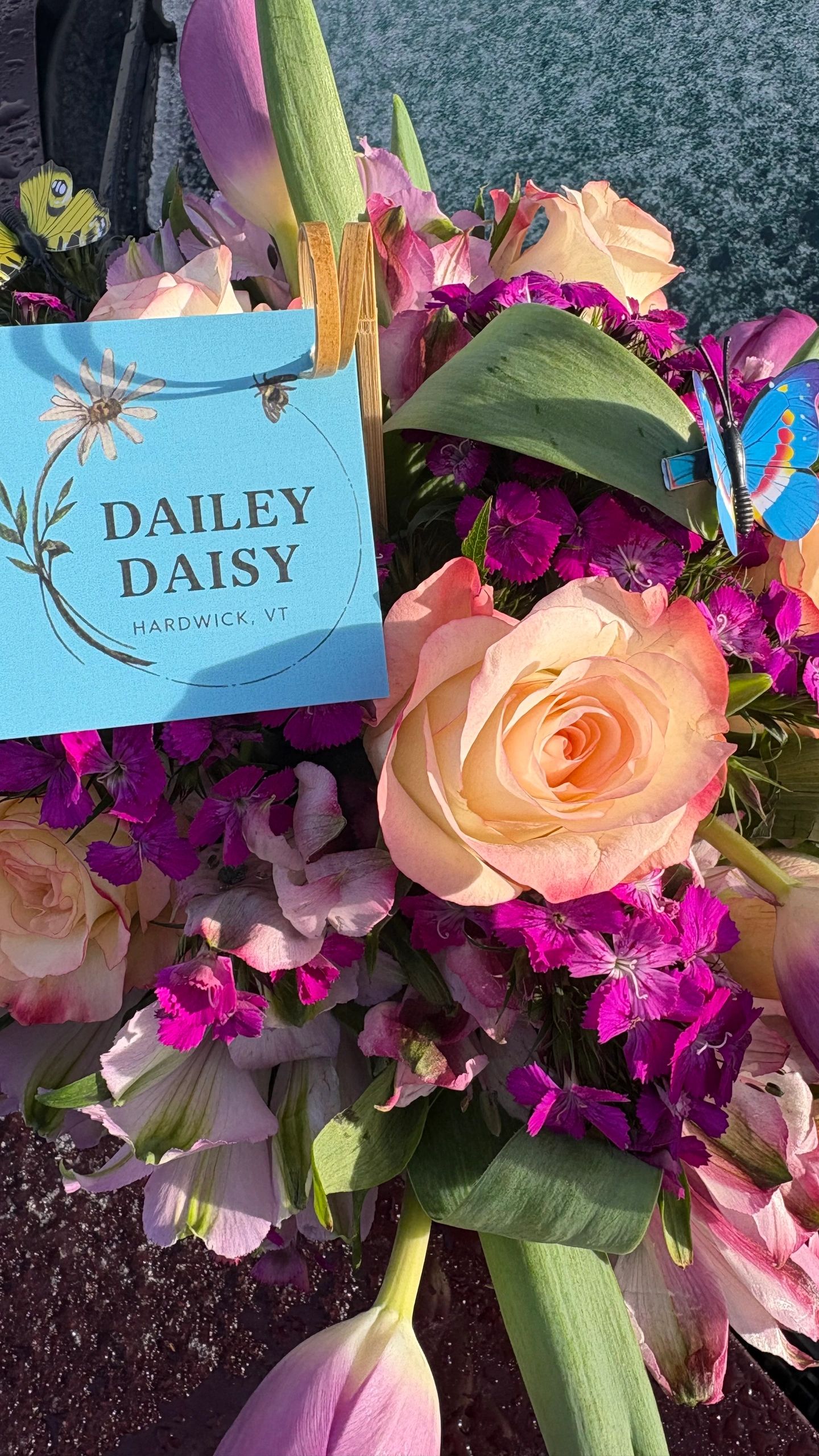 The Dailey Daisy