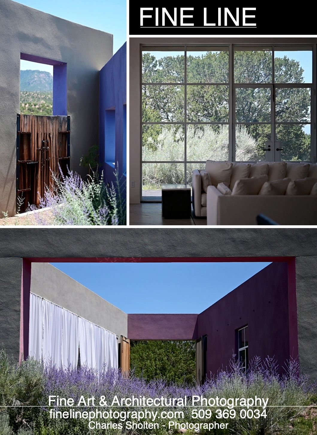 Professional Photographer - Fine Line Photography