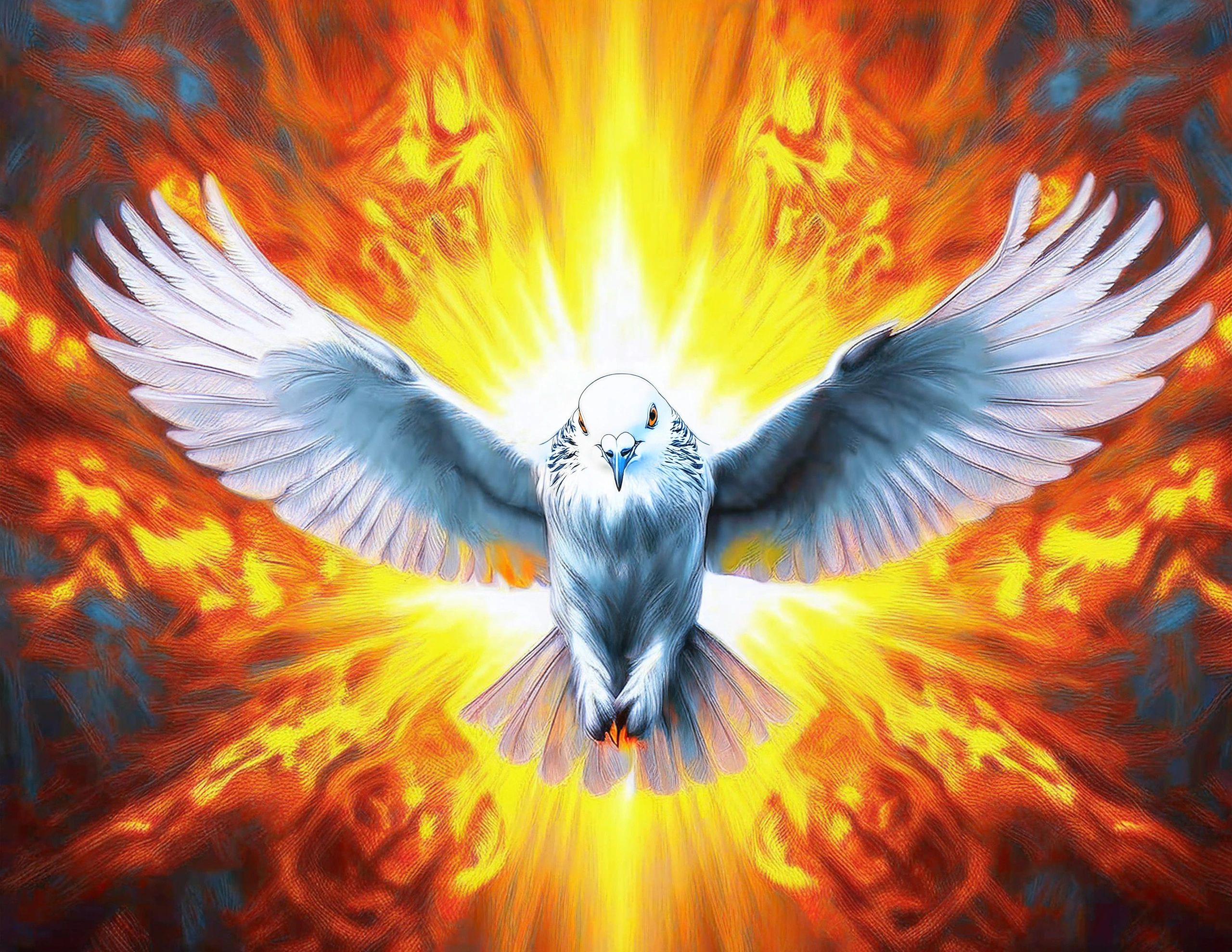 About | Jesus Light of Life