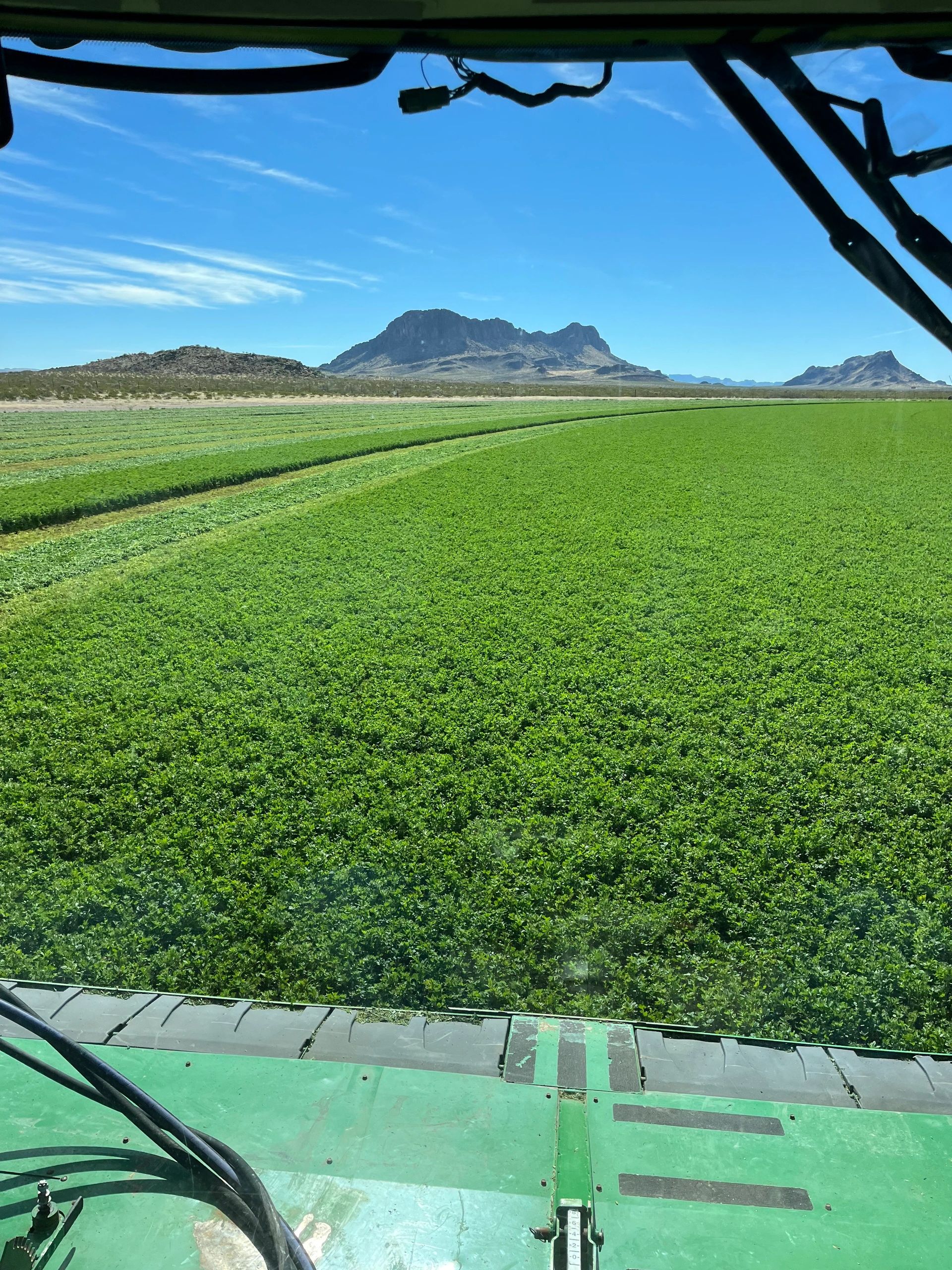 Shannon Ranch: Quality Forages and Feed Solutions