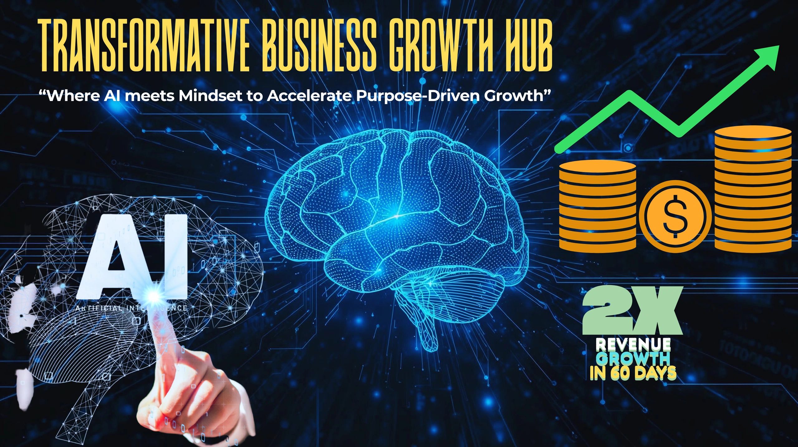 Transformative Business Growth Hub