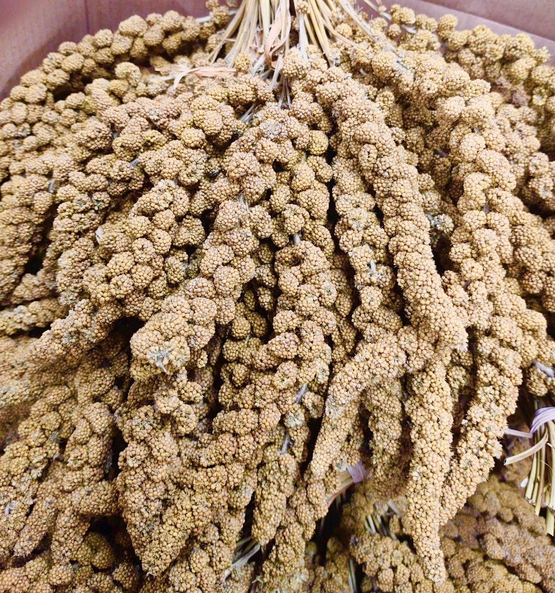 Spray Millet Treat 1 lb