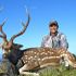 Maui Hunting Safari LLC - Axis Deer Maui, Hawaii Axis Deer | Maui ...